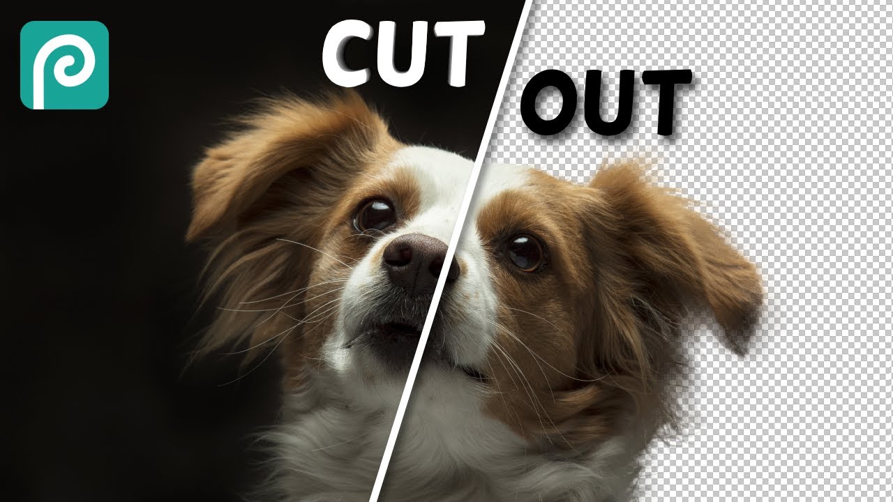 How to Cut Out Hair or Fur in Photopea - YouTube