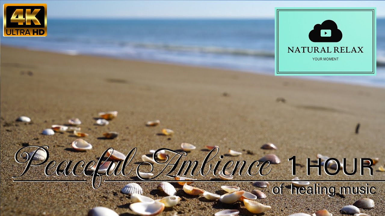 Sea shells - Gentle healing music for calming the nervous system, deep ...