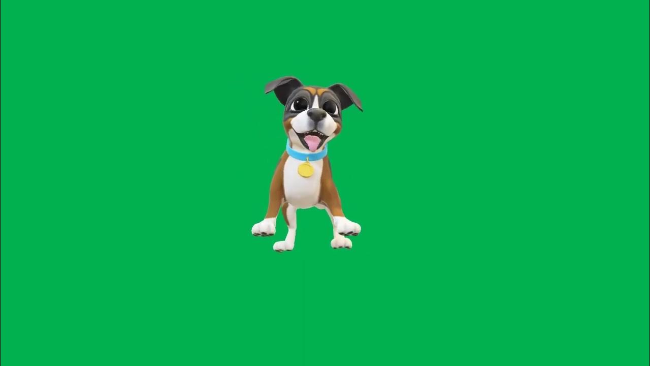#green screen #cute dog position | #green screen cute dog | Green ...