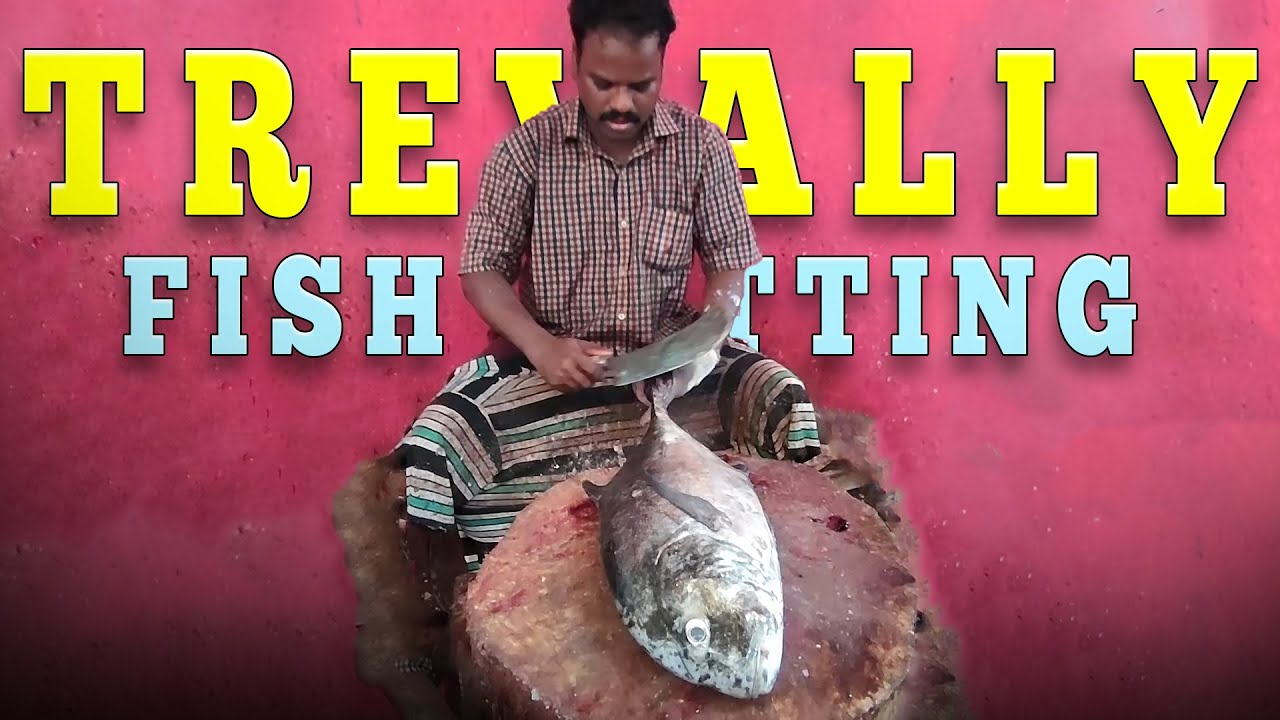 HUGE SIZE TREVALLY FISH FAST CUTTING SKILLS BY WIMCO KUTTY | # ...