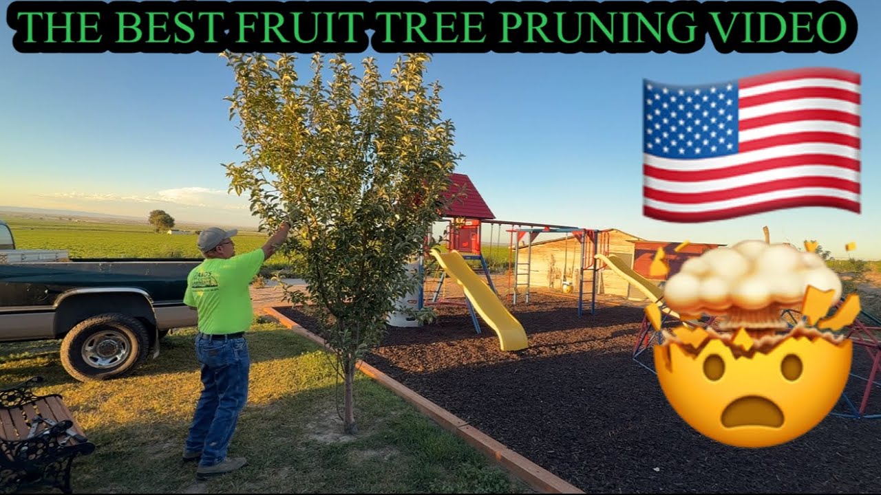 THE BEST FRUIT TREE PRUNING VIDEO - YouTube