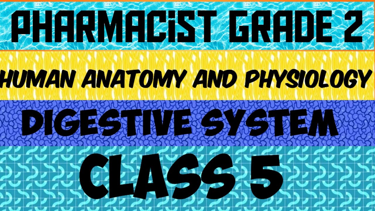 pharmacist grade 2 ||HUMAN ANATOMY AND PHYSIOLOGY|| CLASS- 5 - YouTube