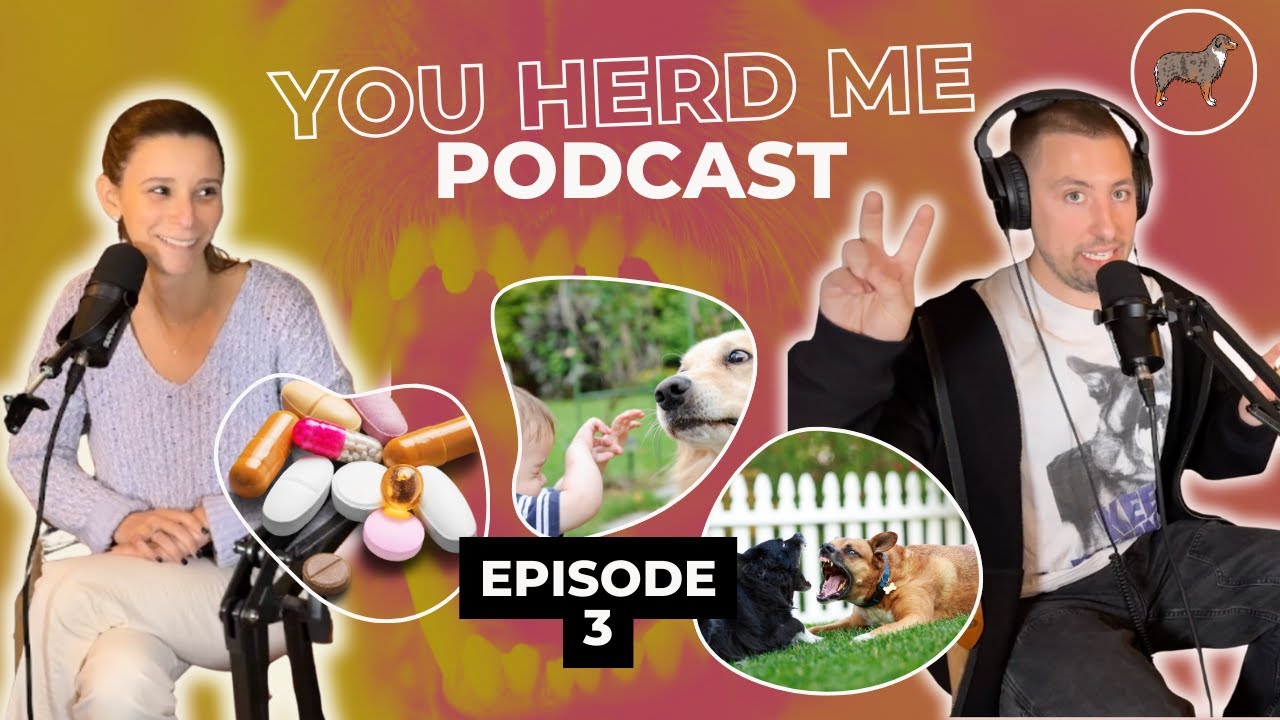 You Herd Me Podcast: Episode 3 - YouTube