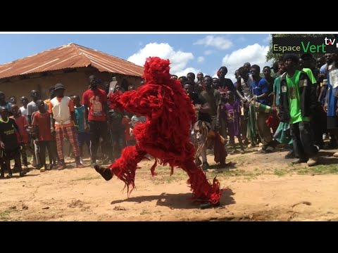 Temps forts du Diambadong de Samine.