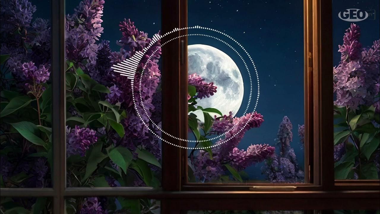 მე და ღამე ხელოვნური ინტელექტის მიერ შესრულებული გალაქტიონის ლექსი