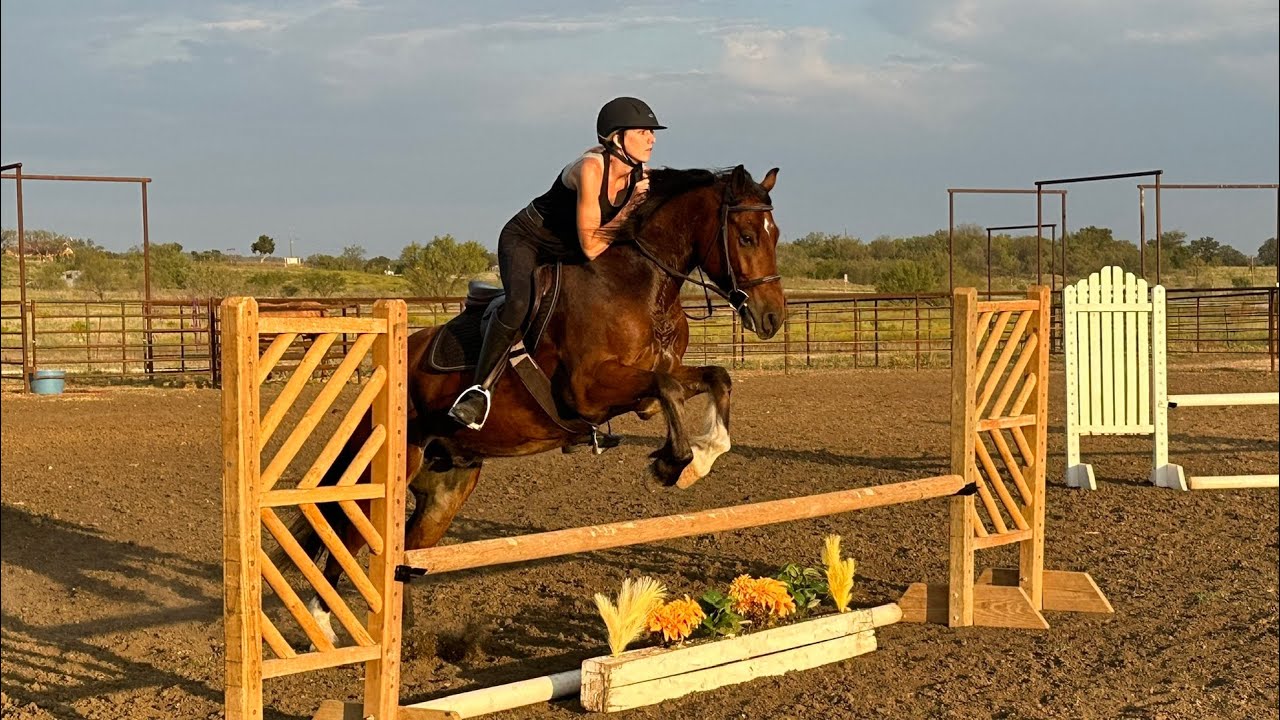 Soldier - 2021 Draft Cross Gelding (Gypsy/QH) - YouTube