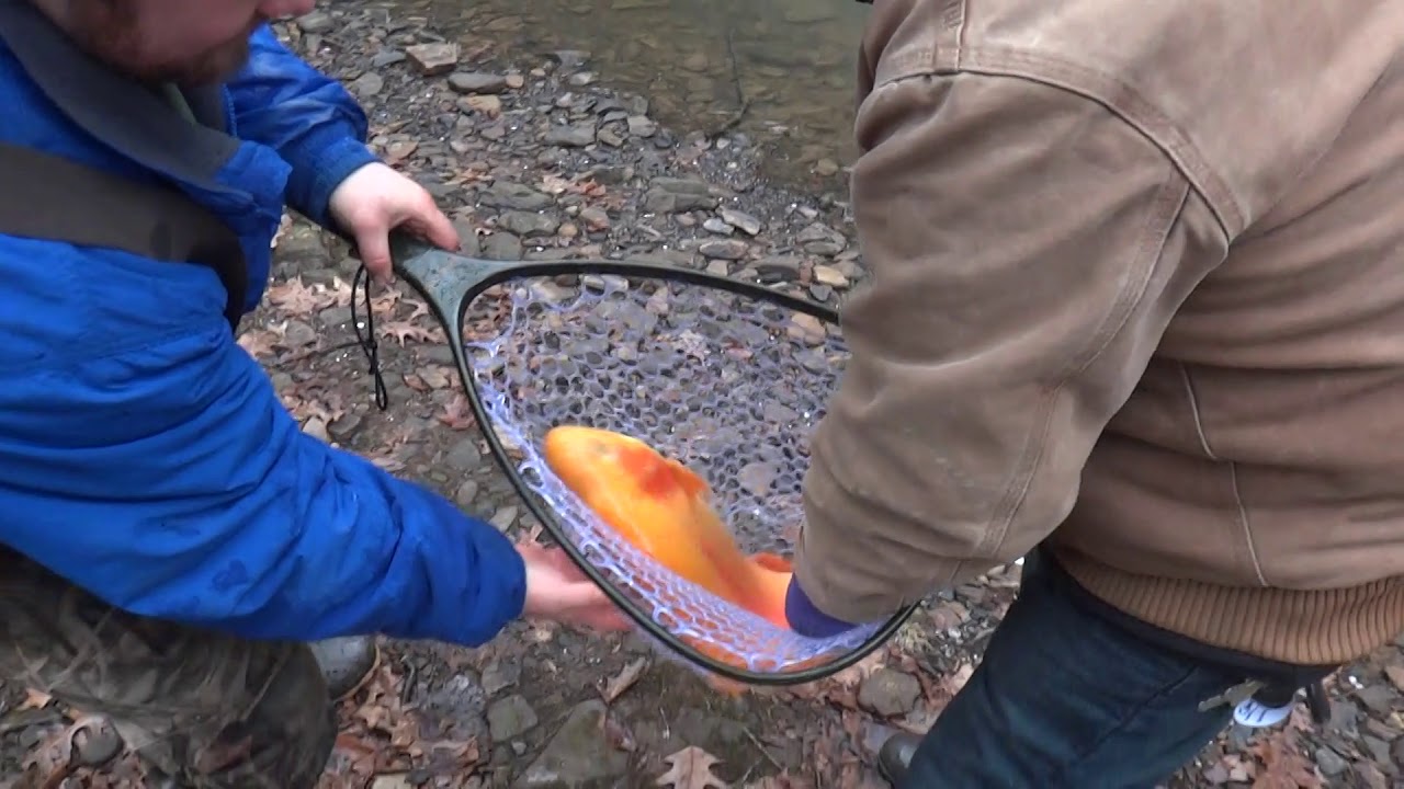 yellow creek trout club john stocking - YouTube