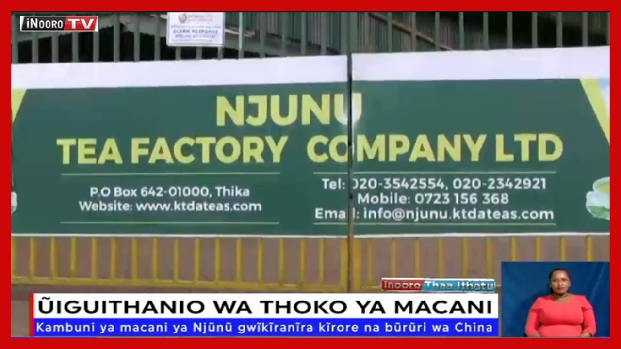 Kambuni ya macani ya Njunu(Murang’a) kuona thoko ya macani China - YouTube