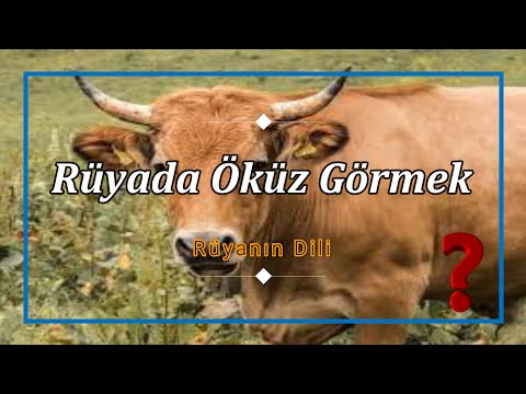 RÜYADA ÖKÜZ GÖRMEK (rüya tabiri)