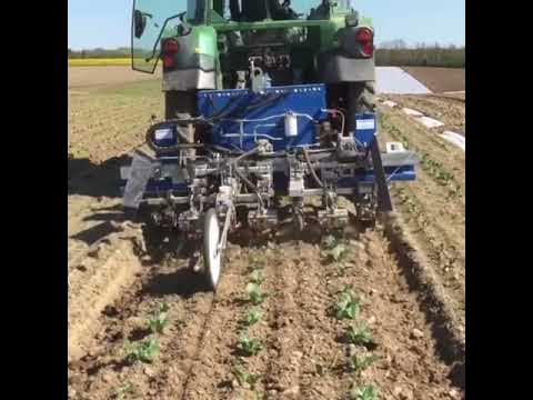 Robovator first ride on cabbage - YouTube