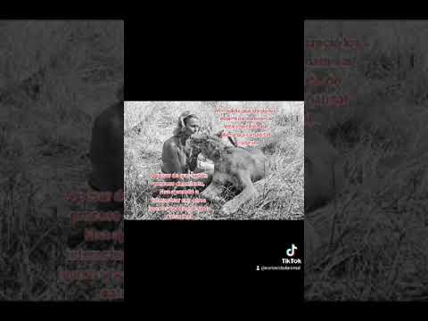 La historia de ELSA, La leona criada por humanos