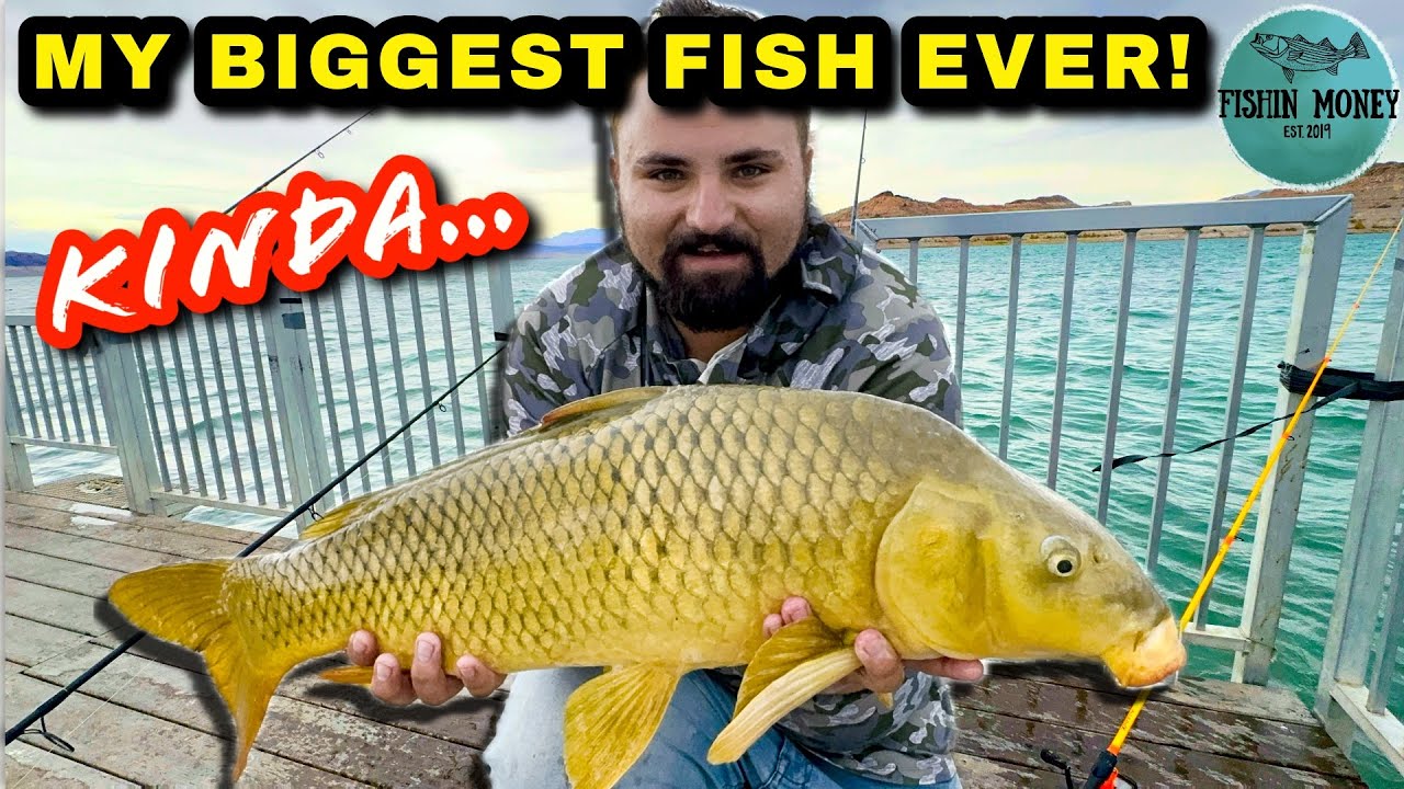 I Caught My Lake Mead PB AGAIN! Fishing Explodes After the Storm Breaks. - YouTube