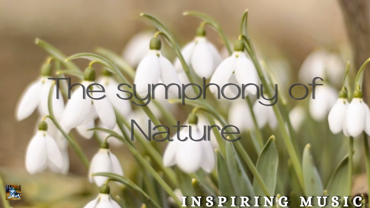 the symphony of nature | Inspiring, motivating music - YouTube