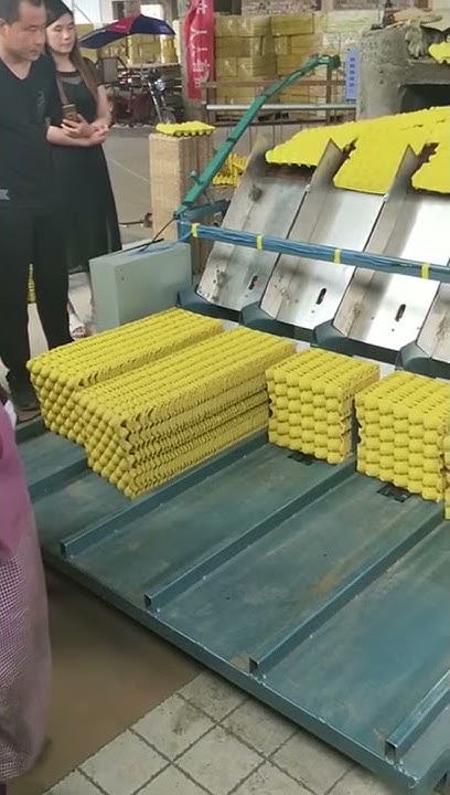 Egg tray stacking machine - YouTube