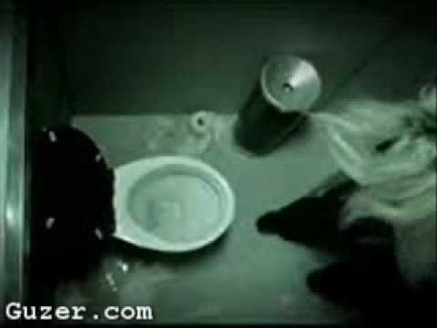 Toilet Accident - YouTube