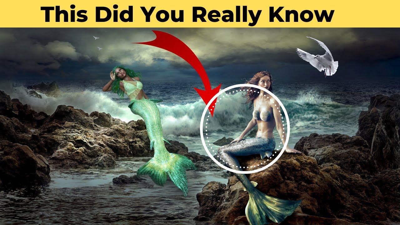 Mermaid: 10 Amazing and Unknown Facts About Mermaids You Need to Know ...