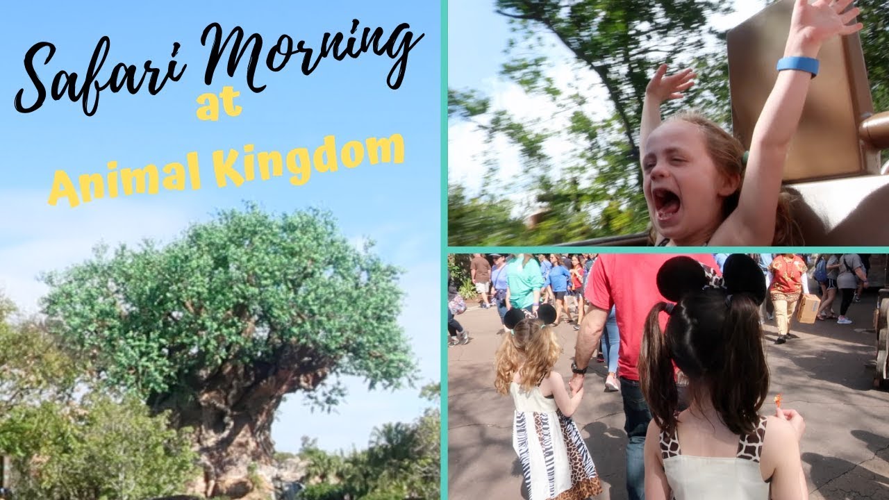 Morning Safari at Animal Kingdom | Disney World Spring Break - YouTube