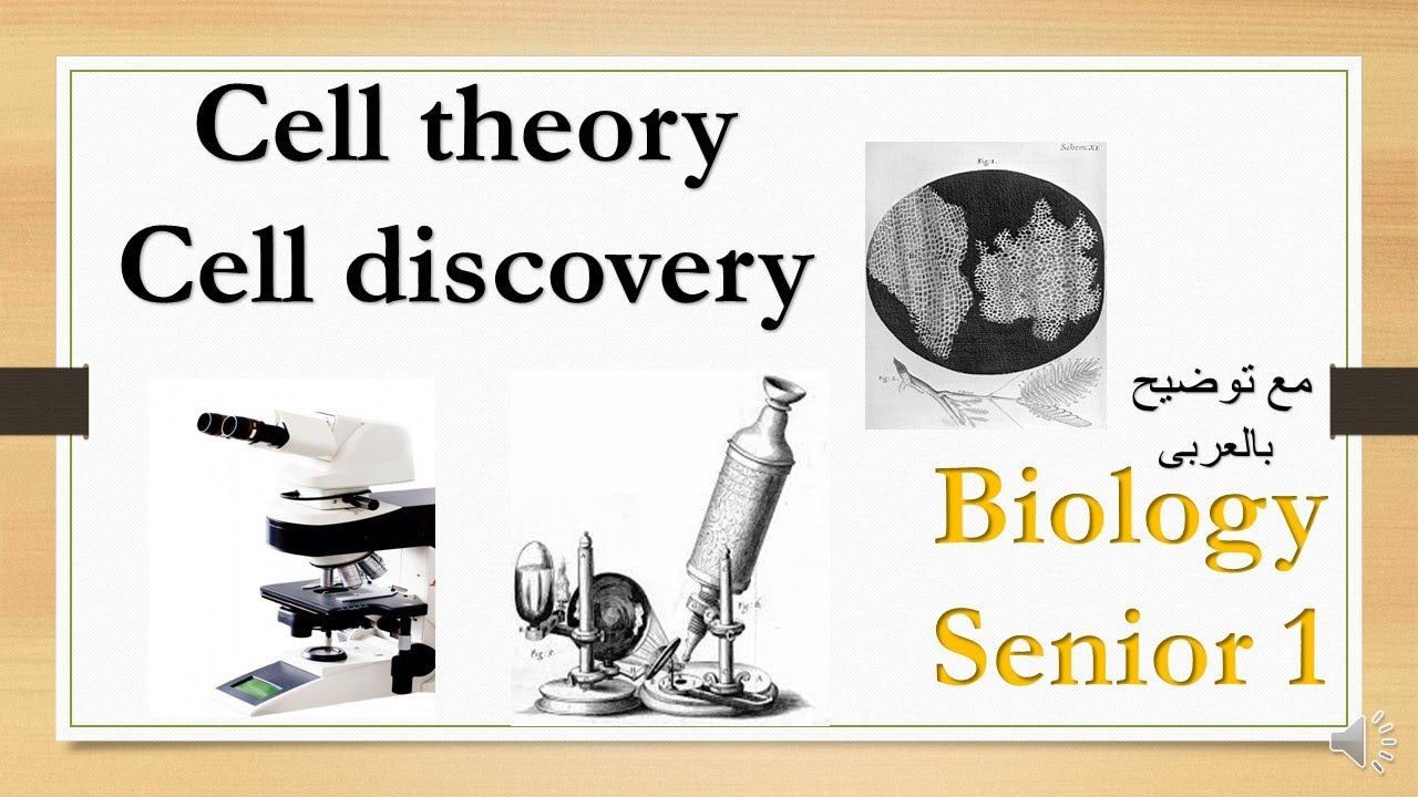 cell discovery and development of microscope 1st secondary - YouTube