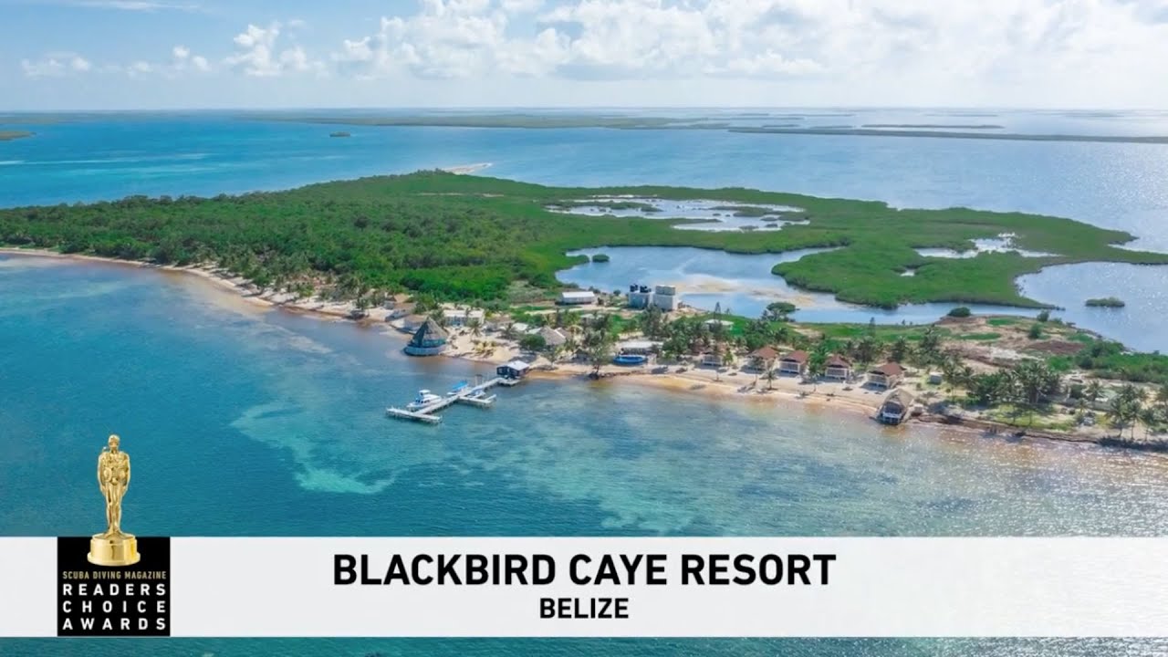 Blackbird Caye Resort - YouTube