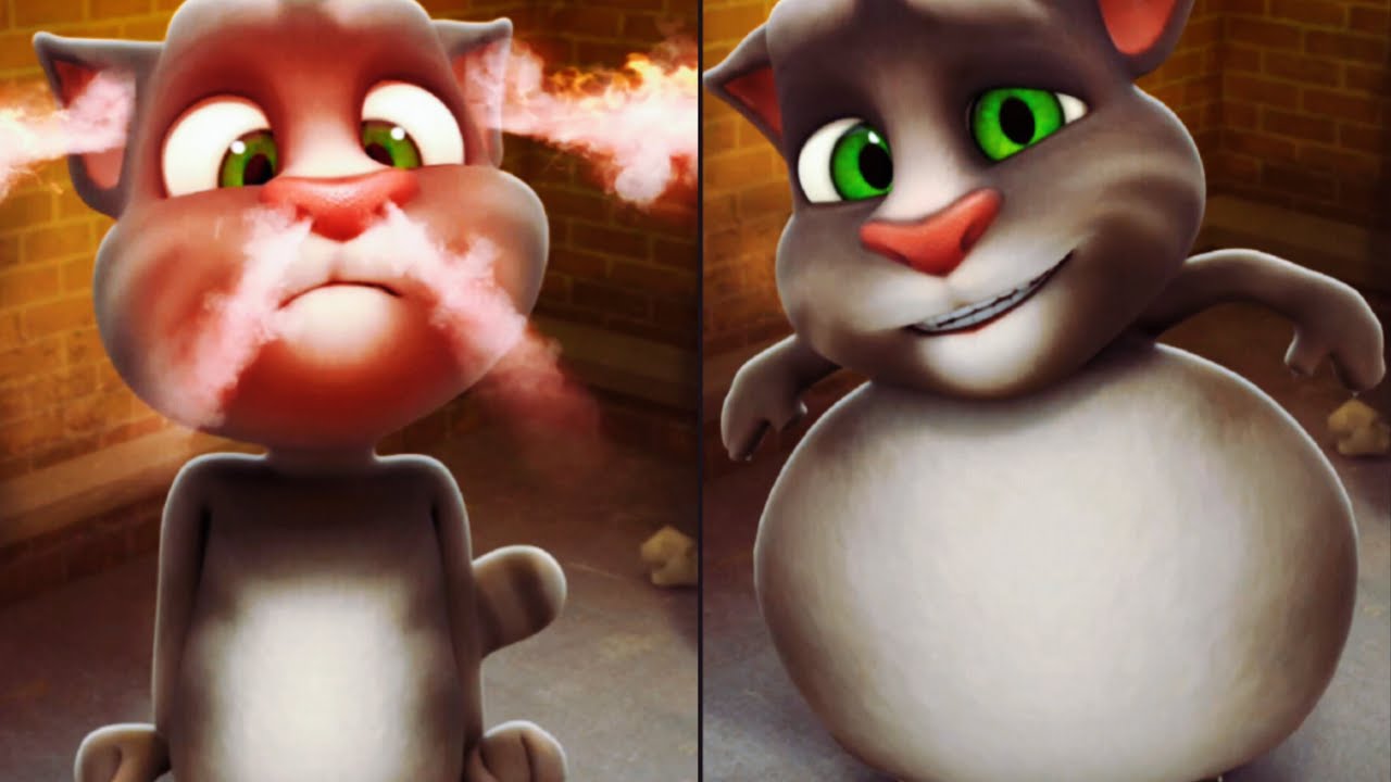 TOM GAME // Talking tom gameplay - YouTube