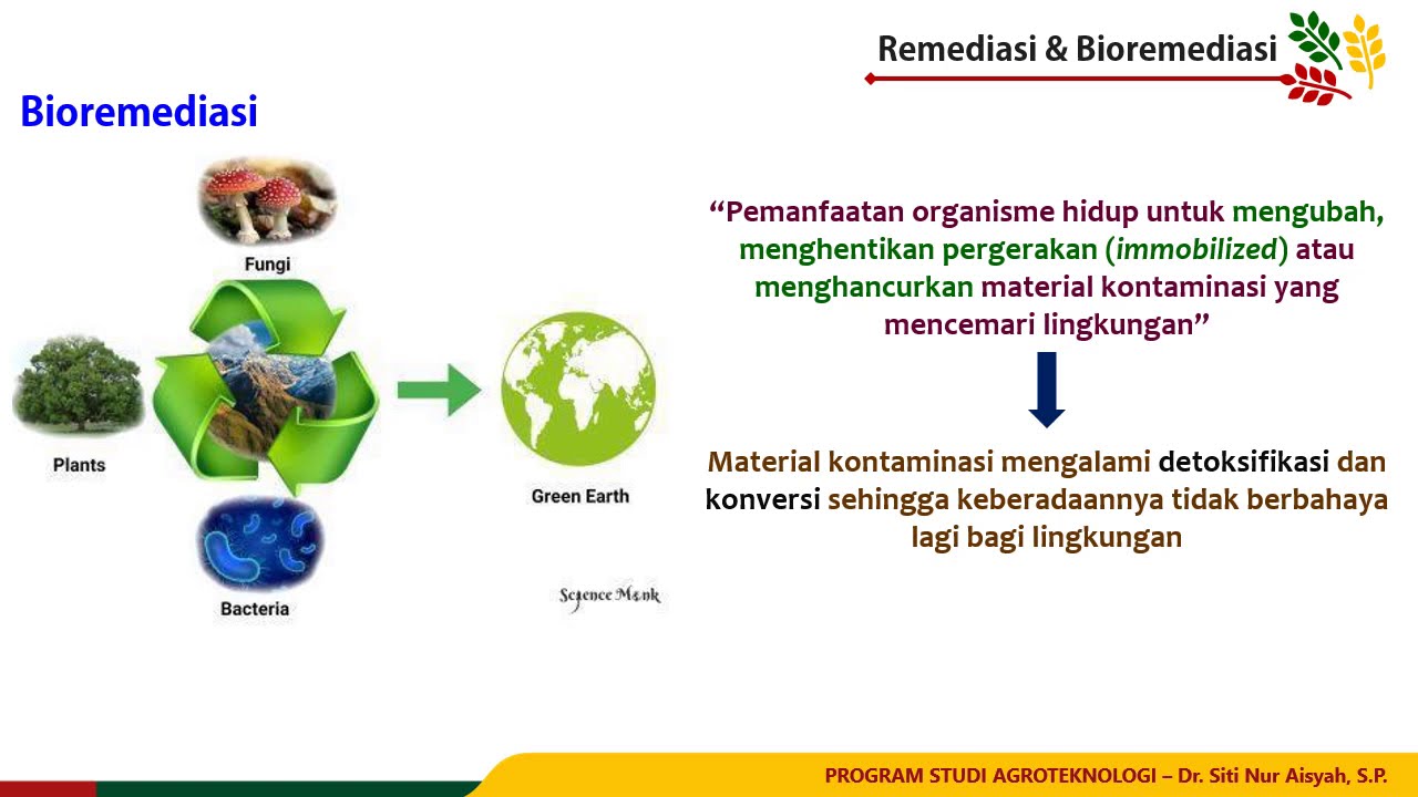 Pertemuan ke 7 Part 1 Konsep Dasar Bioremediasi - YouTube