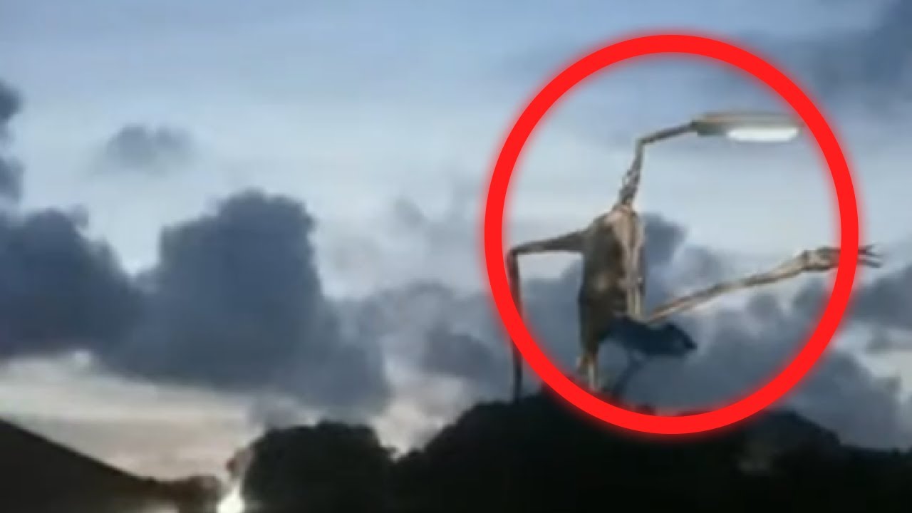 Top 5 worst LIGHTHEAD videos caught on camera - YouTube