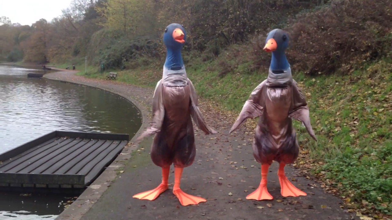 Puddle Ducks - Comedy Street theatre by Cirq Delight - YouTube