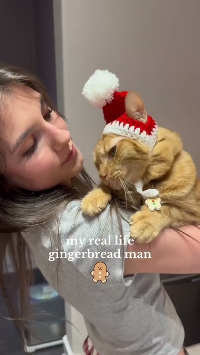 my gingerbread man - YouTube