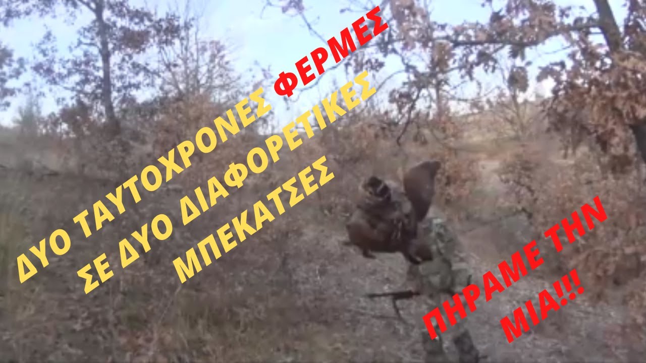 ΚΥΝΗΓΙ ΜΠΕΚΑΤΣΑΣ...ΔΥΟ ΤΑΥΤΟΧΡΟΝΕΣ ΦΕΡΜΕΣ ΣΕ ΔΥΟ ΔΙΑΦΟΡΕΤΙΚΕΣ ΜΠΕΚΑΤΣΕΣ ...