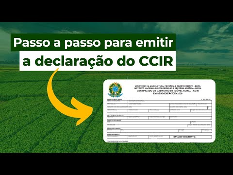 Como emitir a Declaração do CCIR | Cadastros Rurais na Prática