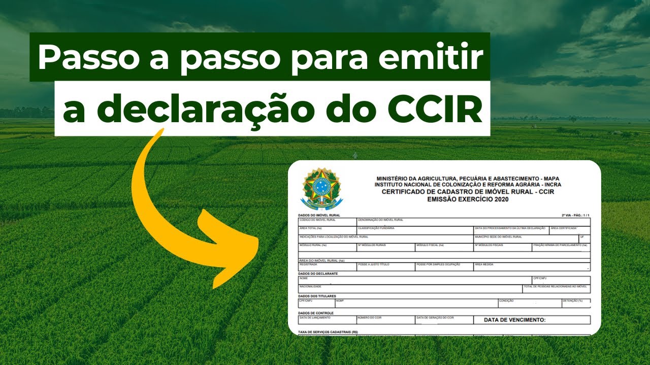 Como emitir a Declaração do CCIR | Cadastros Rurais na Prática - YouTube