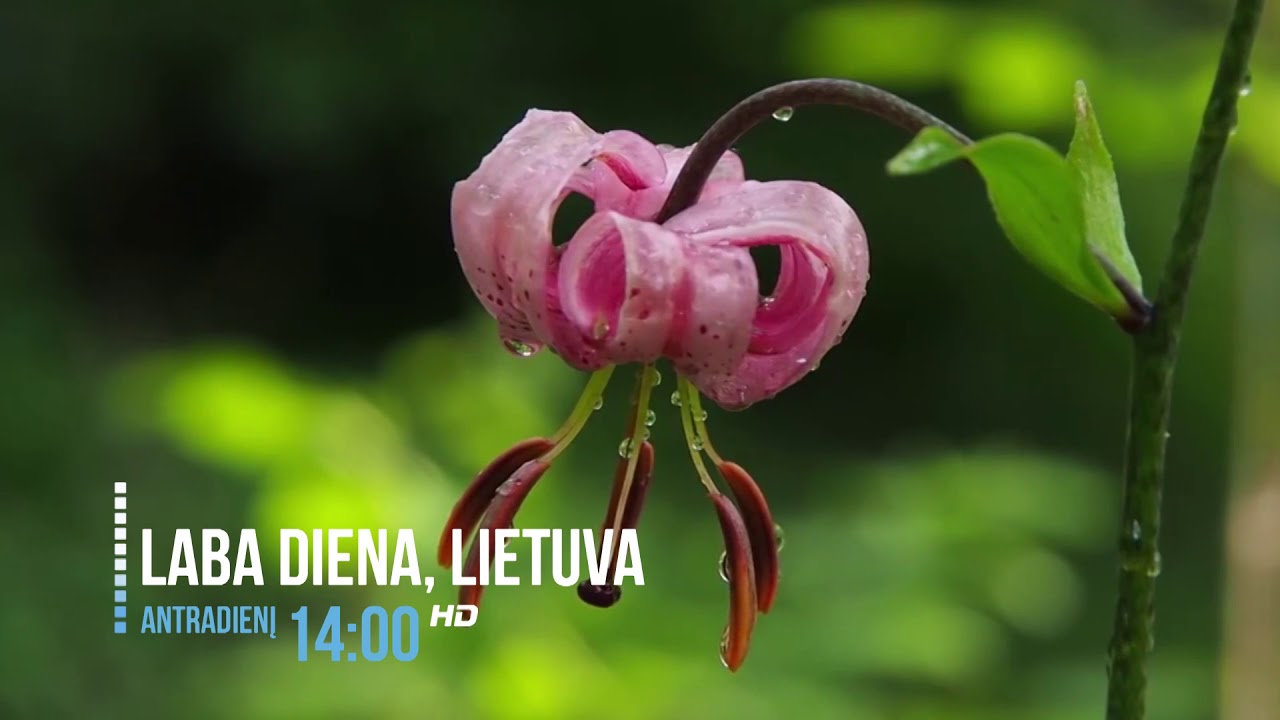 Laba diena, Lietuva | 2018-01-09 anonsas - YouTube