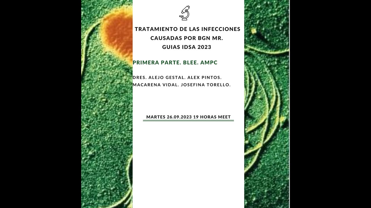 idsa bgn 2023 pt1 BLEE AMPC, Dres Alejo Gestal, A Pintos, Depto ...
