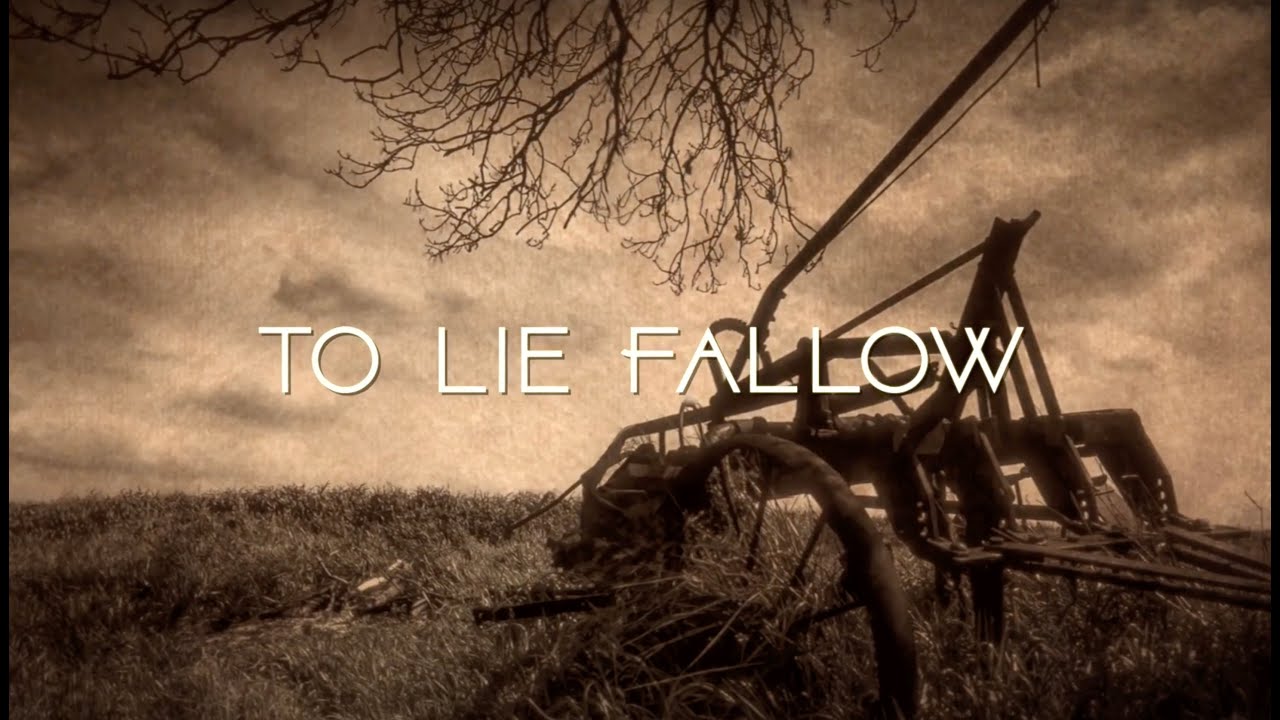 To Lie Fallow - YouTube