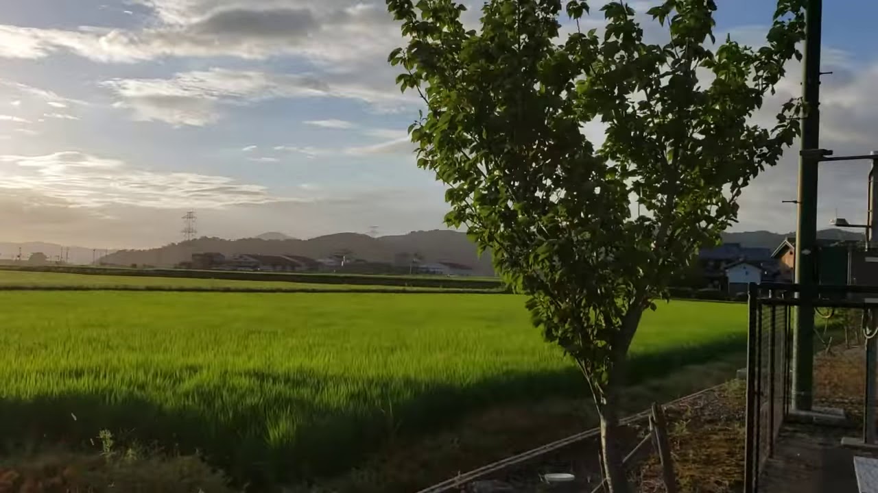 Japan Countryside Morning Walk - YouTube