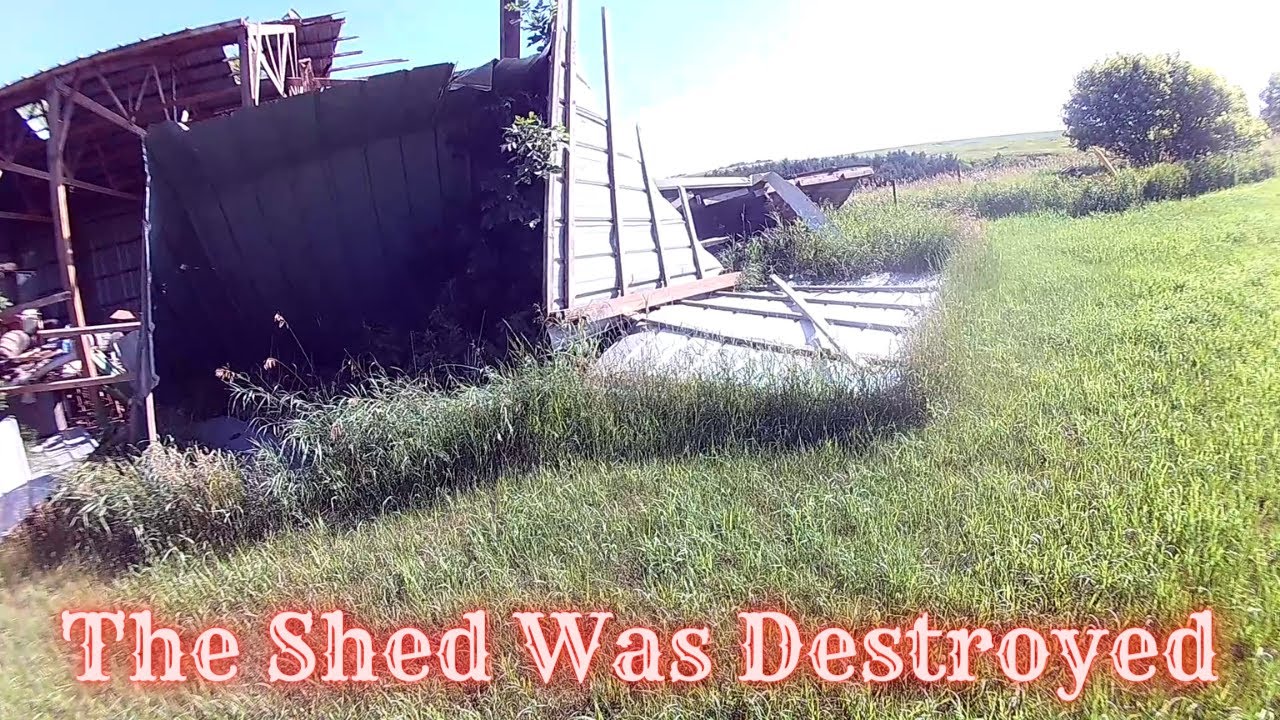 Its Bad. Farm Update Walk Around 7/12/22 - YouTube