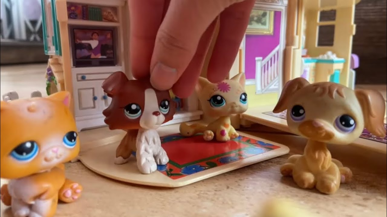 LPS| Mi NUEVA Casa 🏡🐱 - YouTube