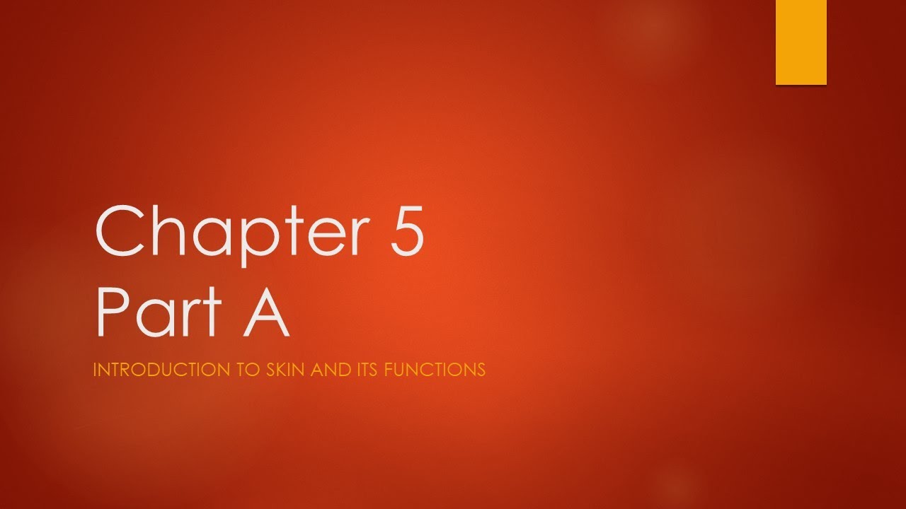Chapter 5 Part A (Introduction to Skin and its Functions) - YouTube