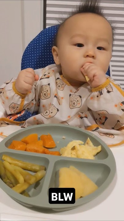 宝宝自主进食 BLW - YouTube