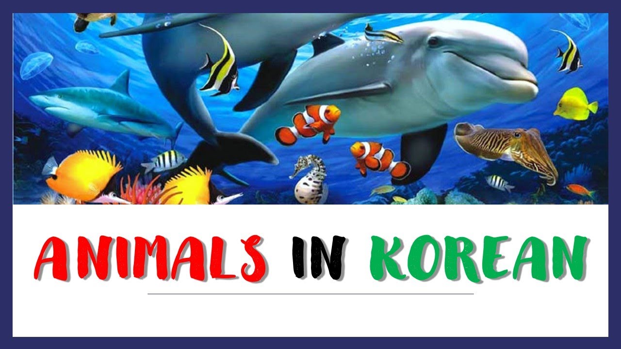 Animals in Korean🦀 (Part 2) Sea Animals - YouTube