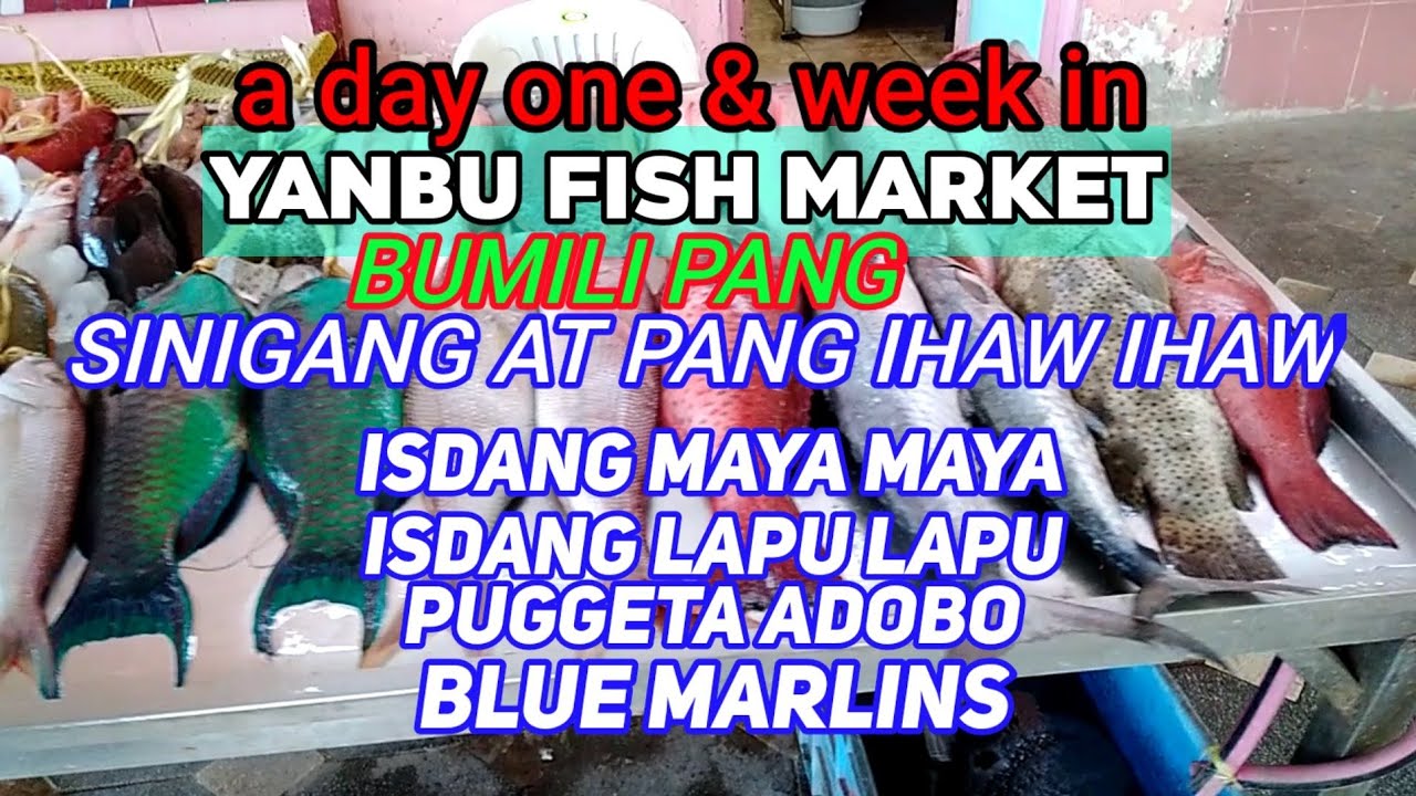 A DAY ONE AND ONE WEEK AT YANBU | FISH MARKET BUMILI NG PANG SINIGANG ...