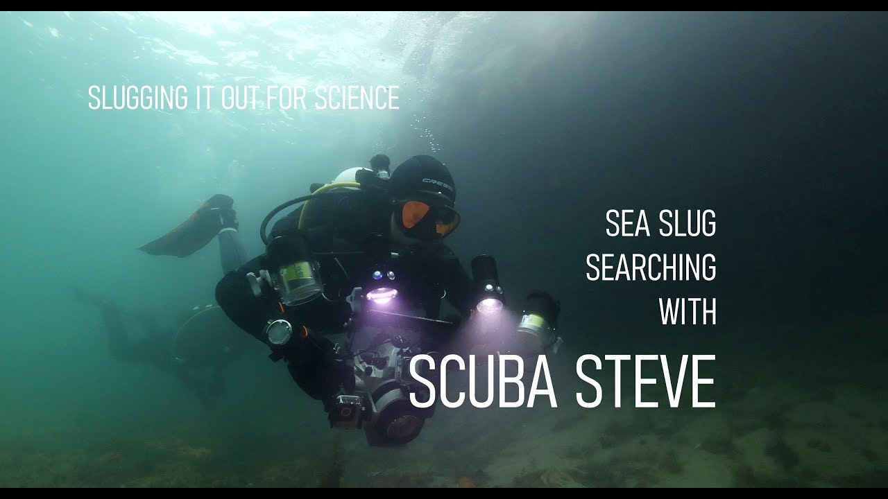 Slugging it out for Science: Scuba Steve - YouTube