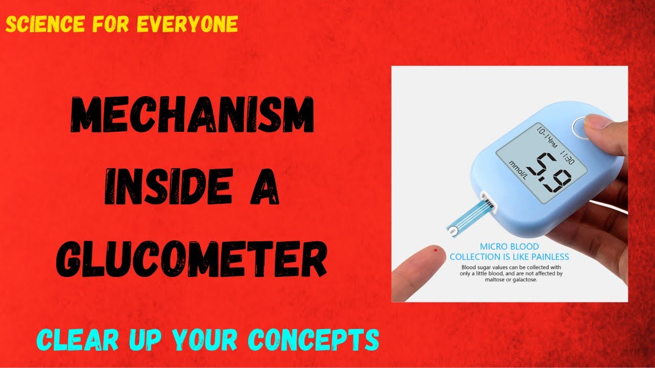 Glucometer (Mechanism) Secrets behind it - YouTube