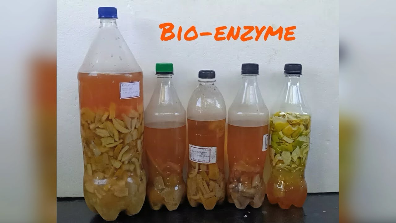 Bio-enzyme : How to make bio-enzyme with updates - YouTube