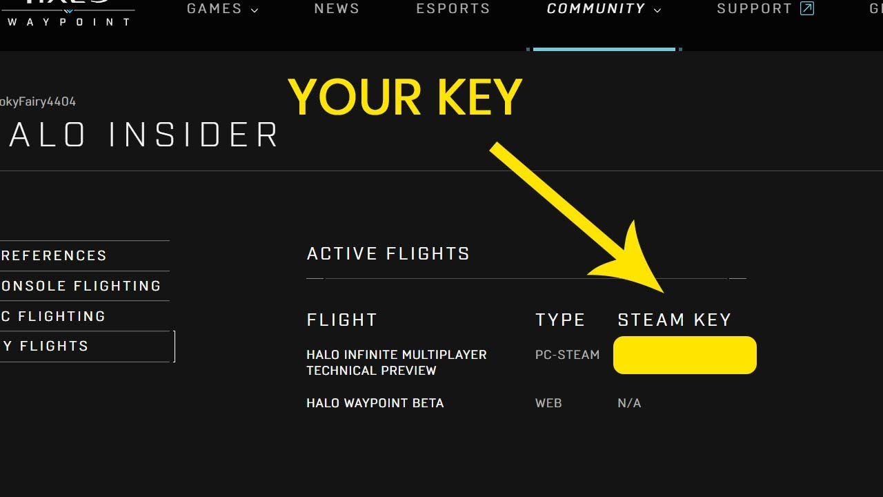 Where can I Find My Halo Infinite Flight Section Steam Key on ...