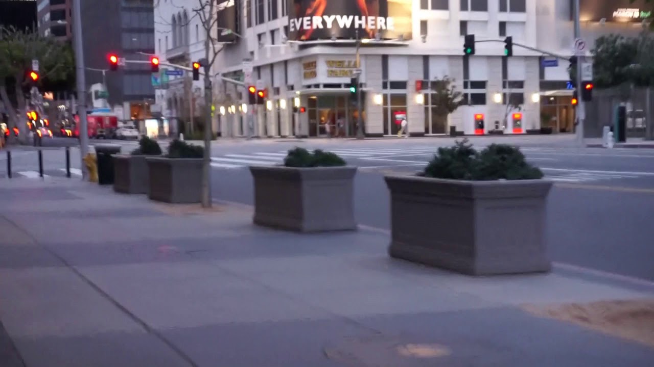 The Early Days of Quarantine in LA - YouTube