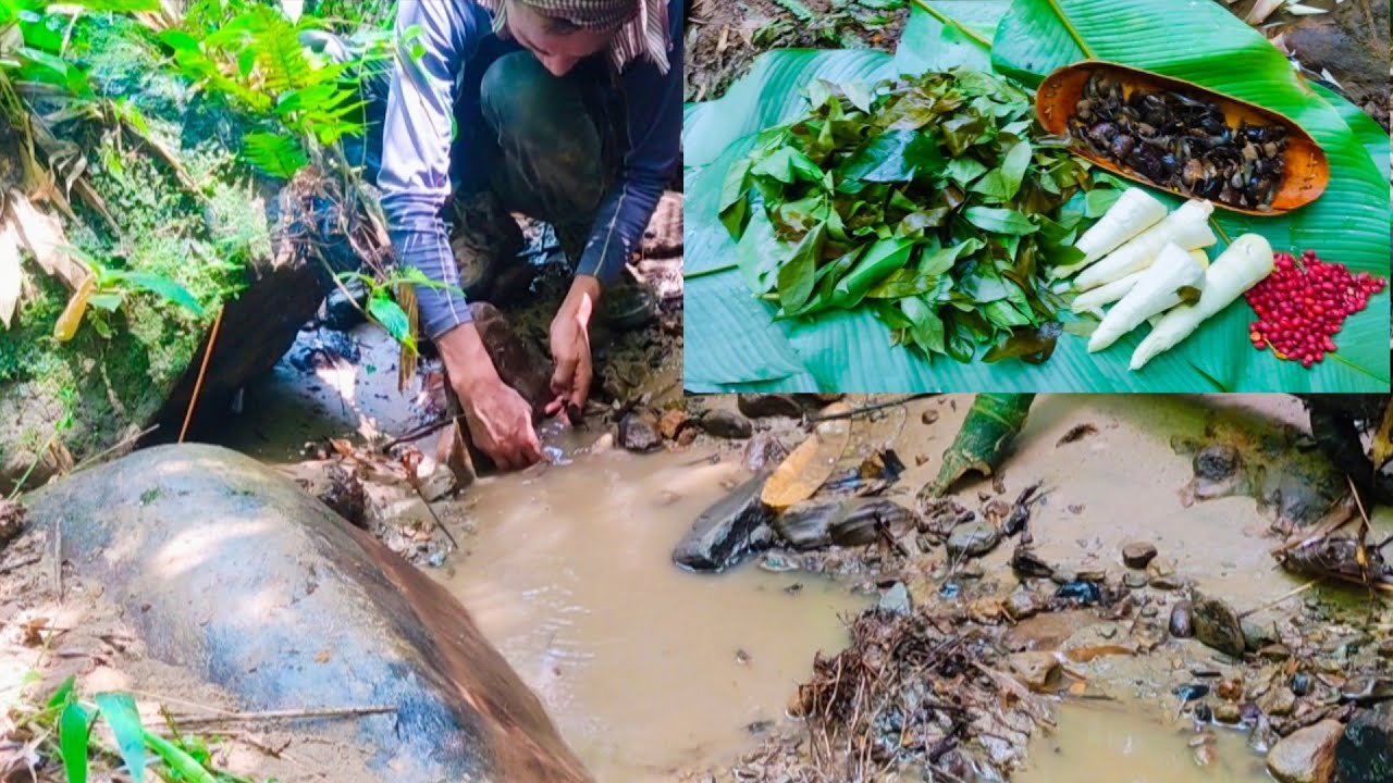 Catching crab and prawn in a small river - YouTube