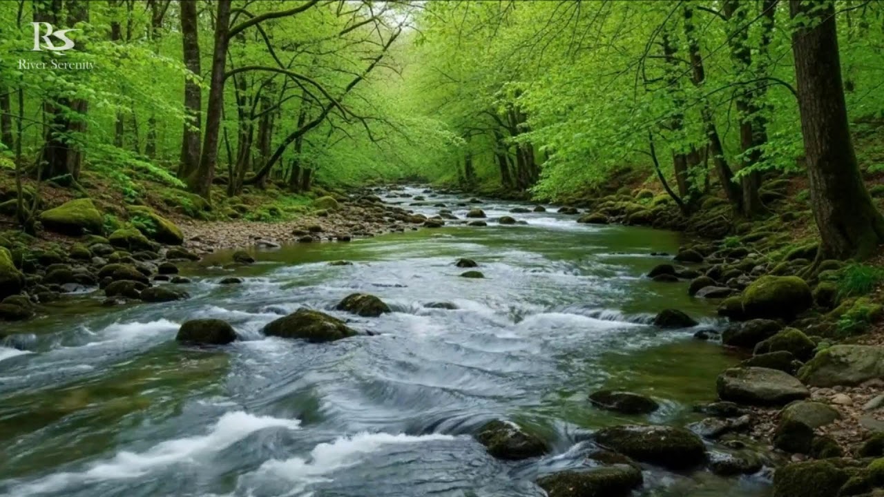 River Sounds for Sleep and Stress Relief | Gentle Continuous Water Flow ...