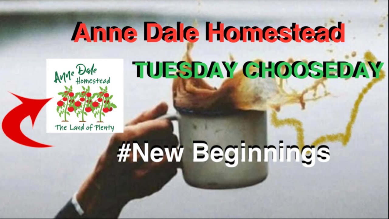 Tuesday ChooseDay #newbeginnings - YouTube