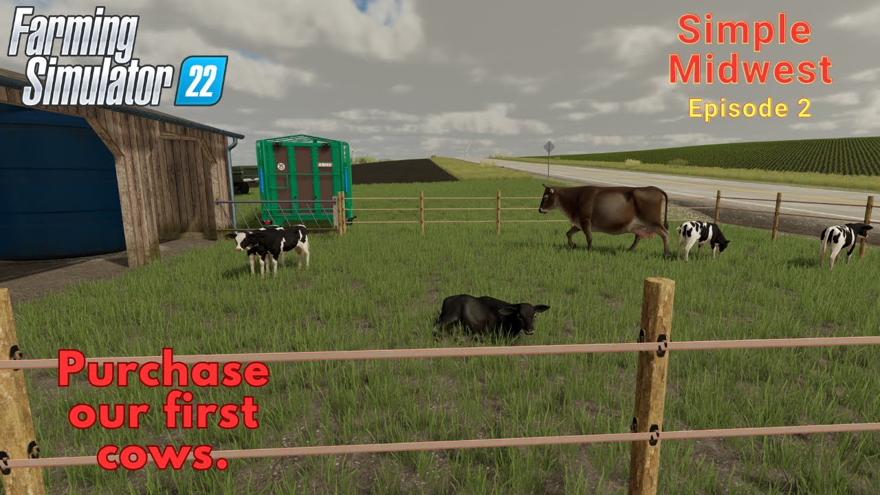 Buying our first cows / Simple Midwest- Episode 2/ FS 22 - YouTube
